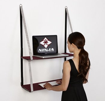 Ninja Portable Standing Desk | Standing Desk Reviews